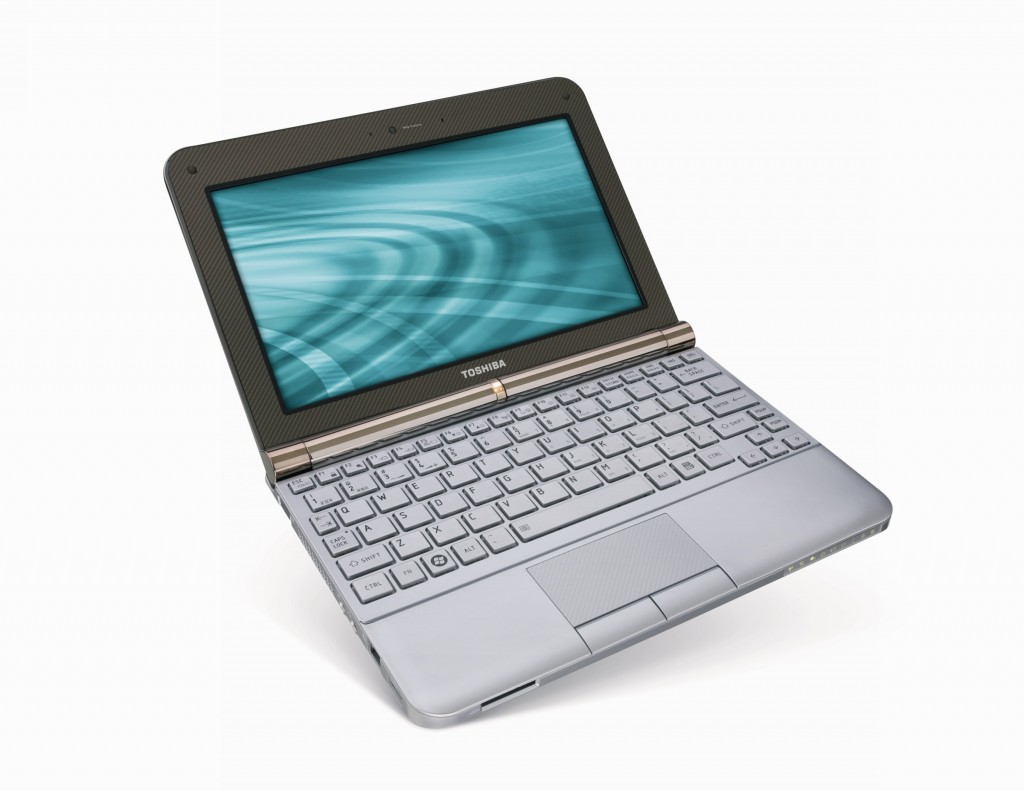Announcing the Toshiba mini NB205 - Rockin Mama™