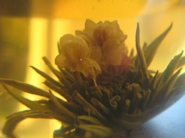 Valentine's Day Gift Idea: Primula Flowering Tea Gift Set *Giveaway ...