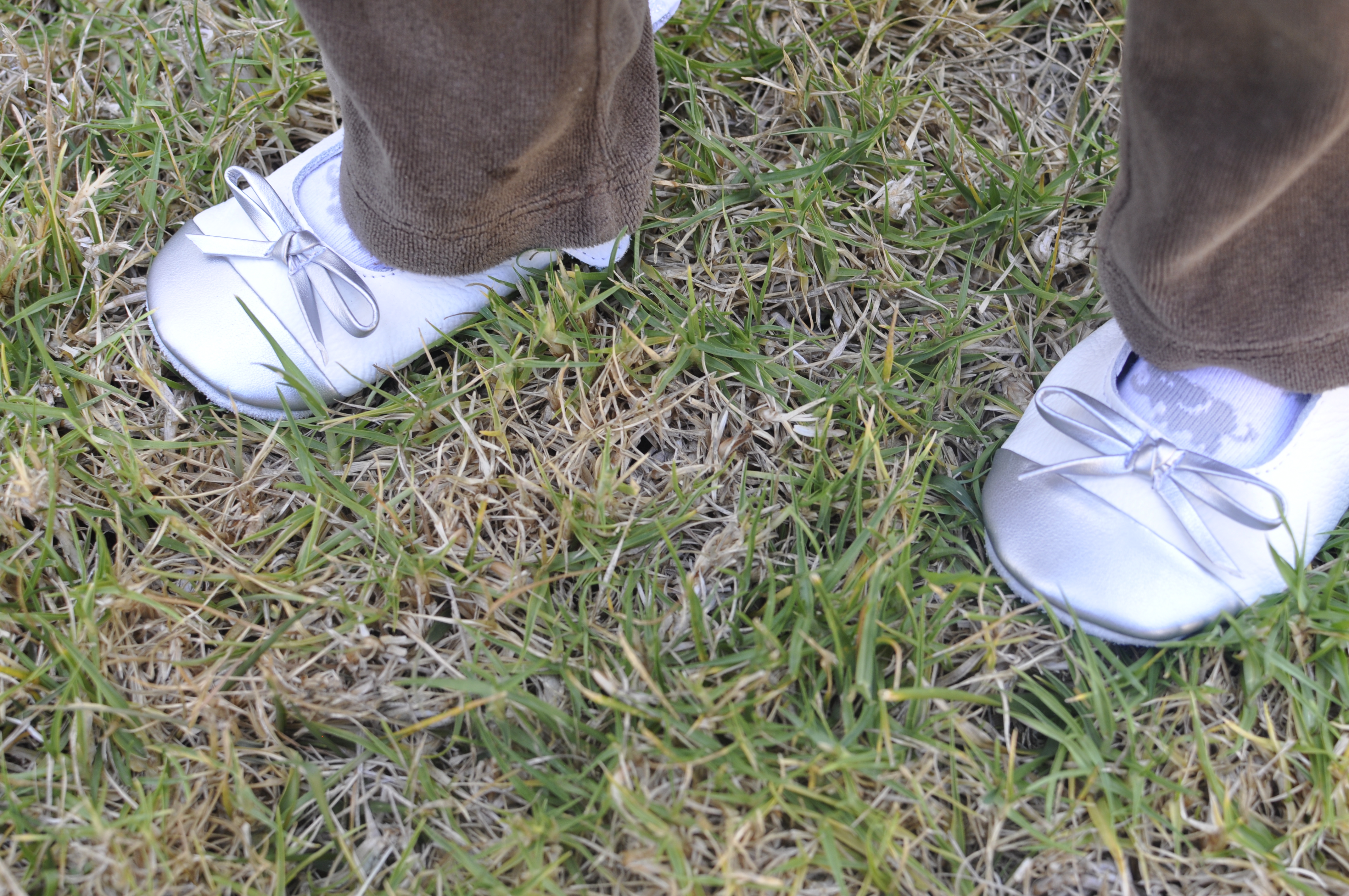 ShooShoos...A Baby's First Shoe - Rockin Mama™