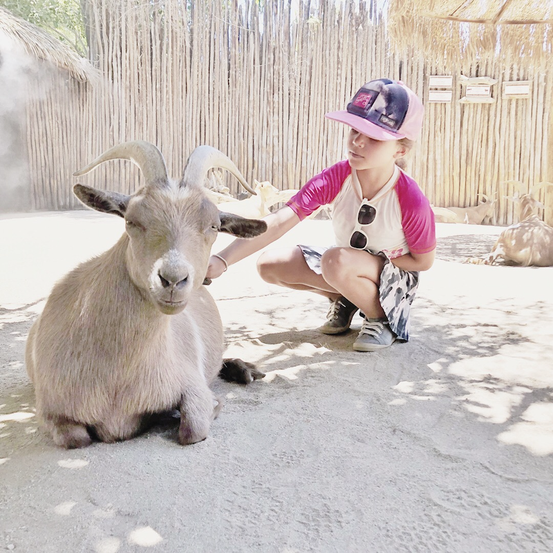 The Living Desert Zoo Guide