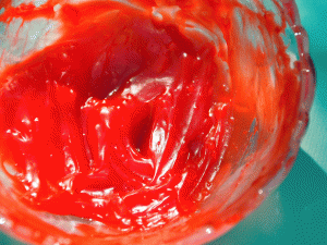 Getting Messy With Homemade Crafts! - Rockin Mama™