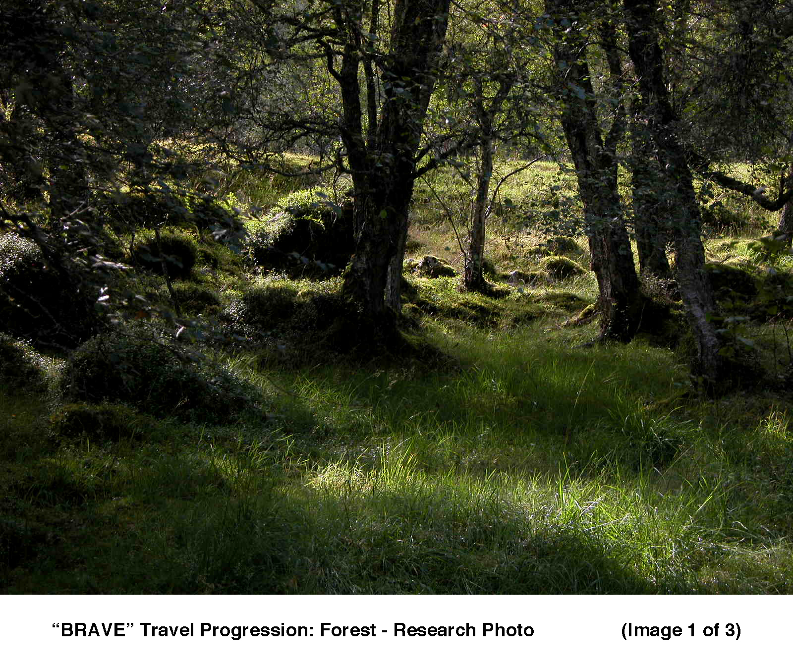 Disney/Pixar's Brave: A Closer Look At Story Development, Costuming ...