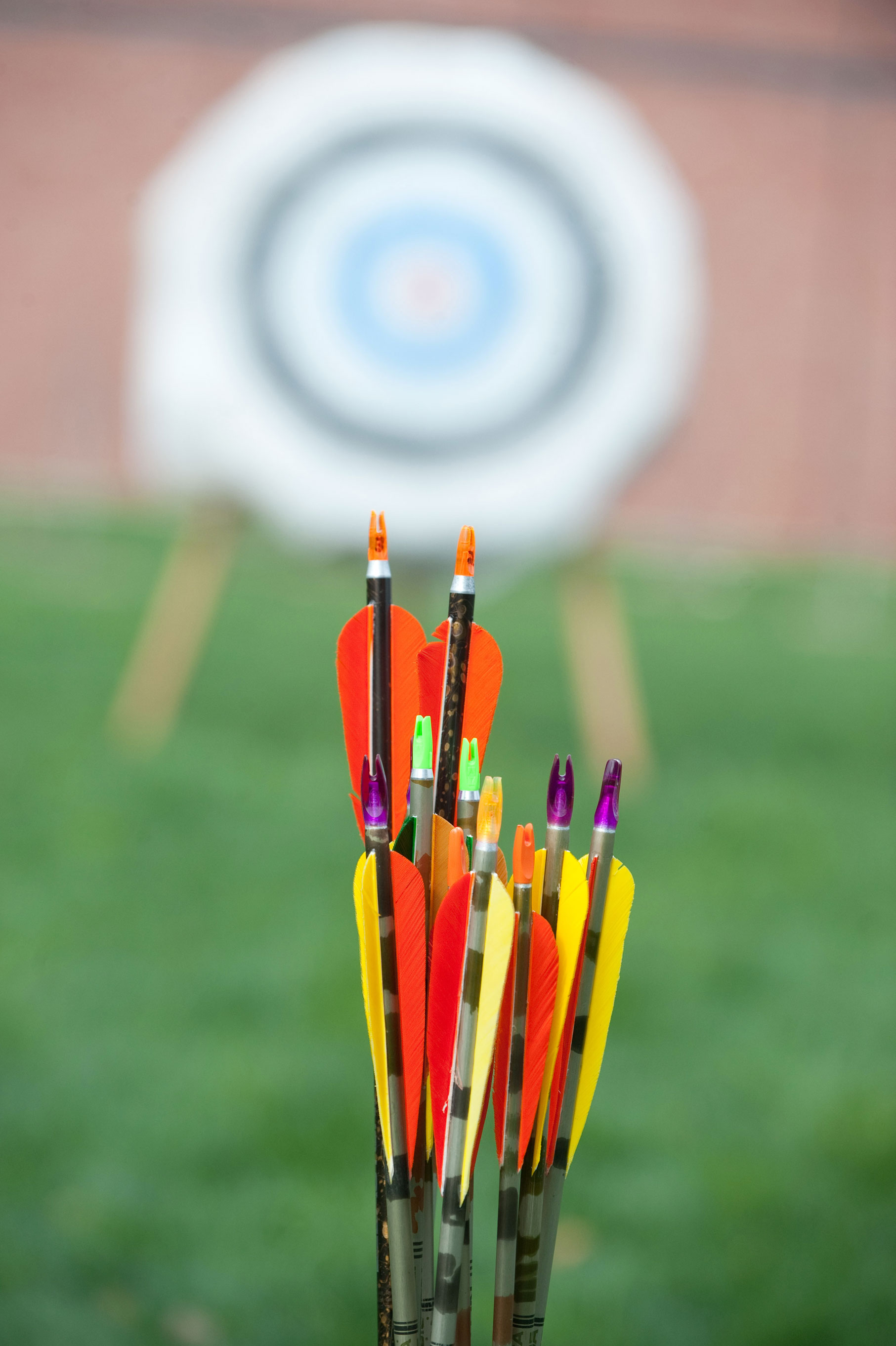 Bullseye! Archery 101 Inspired by Disney/Pixar's Brave - Rockin Mama™