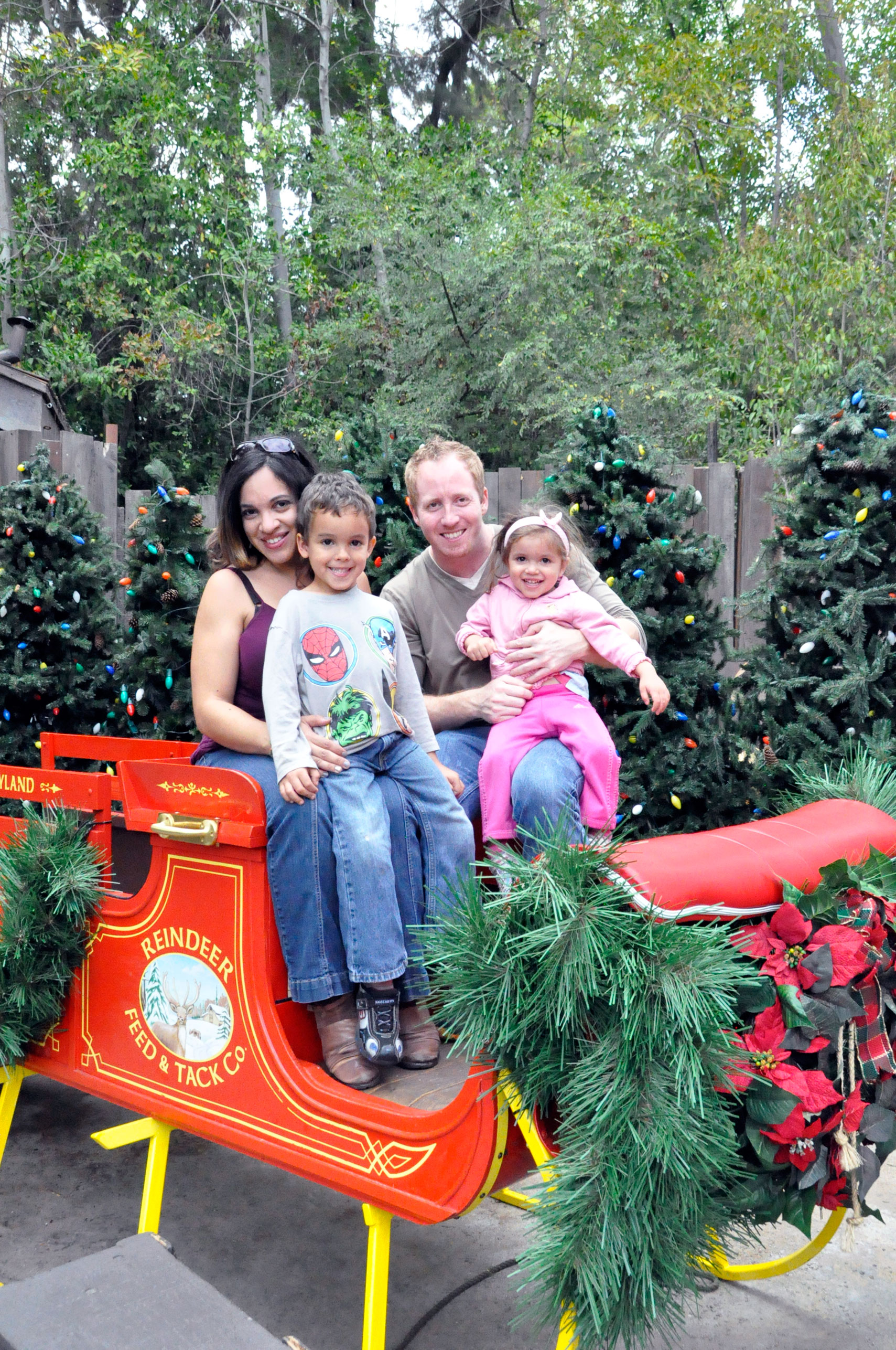 Holiday Merriment at the Disneyland Resort - Rockin Mama™
