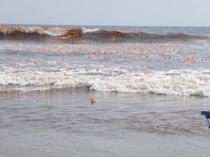 Verizon FiOS Premieres Iron Man 3 + Upcoming SoCal Experiences - Rockin ...