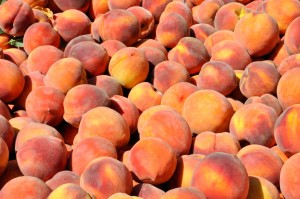 Locally Grown Peaches: From Tree to Table - Rockin Mama™