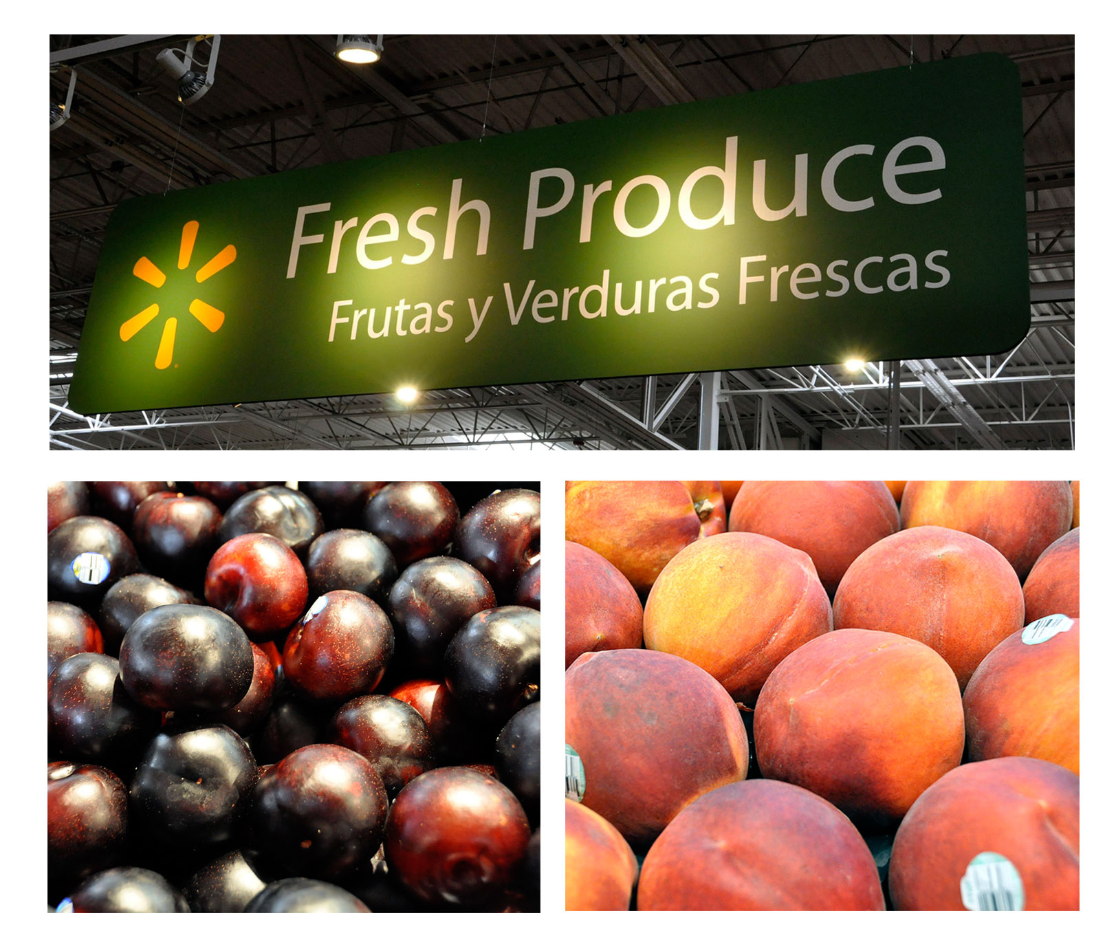 Locally Grown Peaches: From Tree to Table - Rockin Mama™