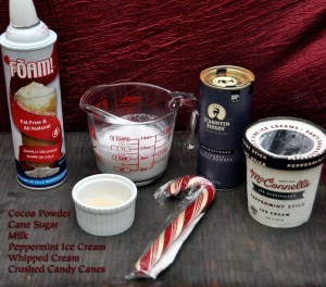 Hot Chocolate Peppermint Ice Cream Floats Recipe - Rockin Mama™