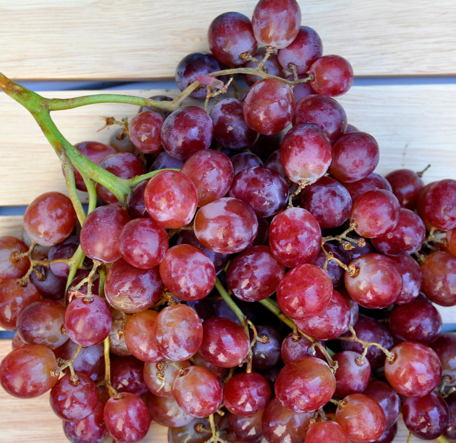 Roasted Grape, Walnut and Mascarpone Tart Recipe - Rockin Mama™