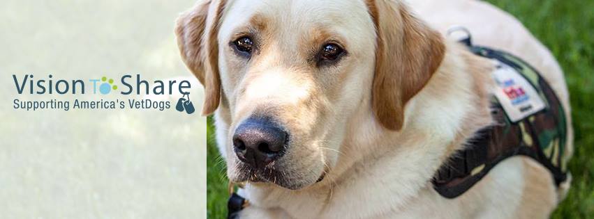 VSP Partners With America's VetDogs To Improve the Lives of Veterans ...