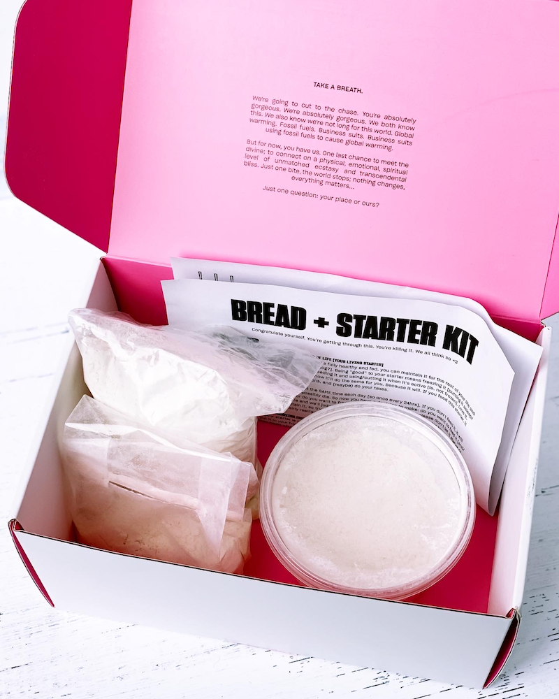 Fresh Bread in Just 24 Hours with Mr. Holmes Bakehouse Bread Starter ...