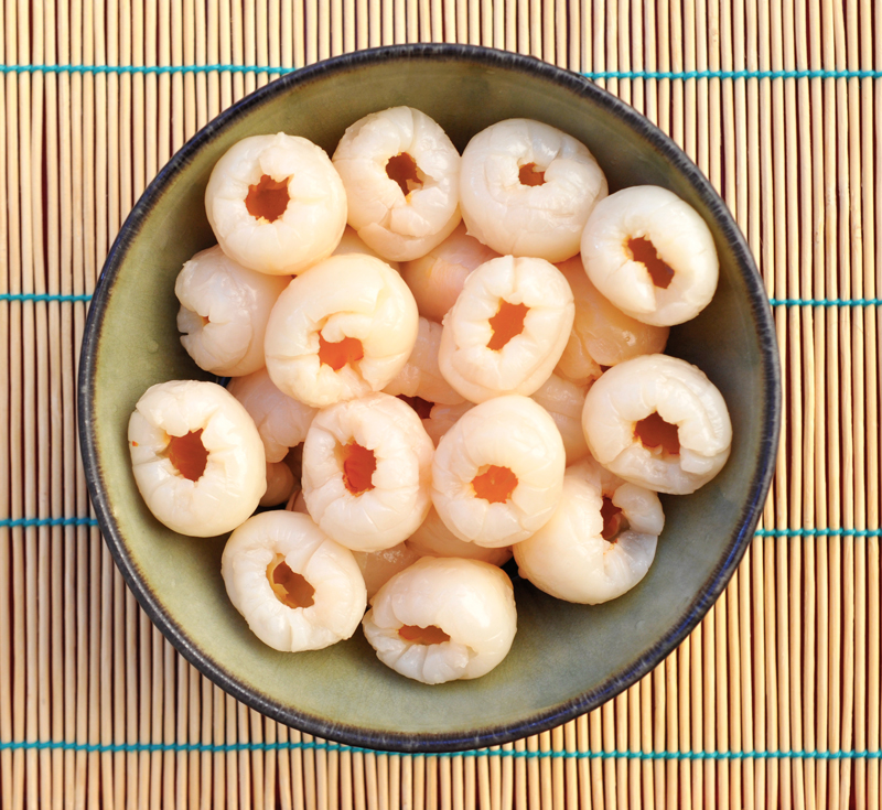 Pomegranate Lychee Sorbet Recipe - Rockin Mama™