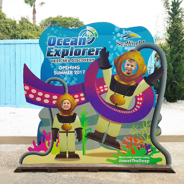 3 Things You Must Do This Summer at SeaWorld - Rockin Mama™