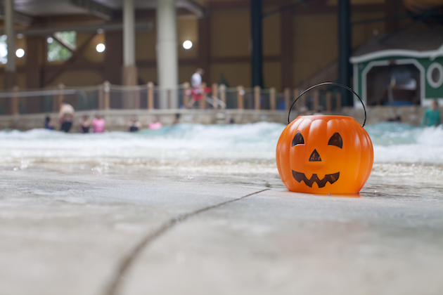 Howl-O-Ween at Great Wolf Lodge Deals - Rockin Mama™