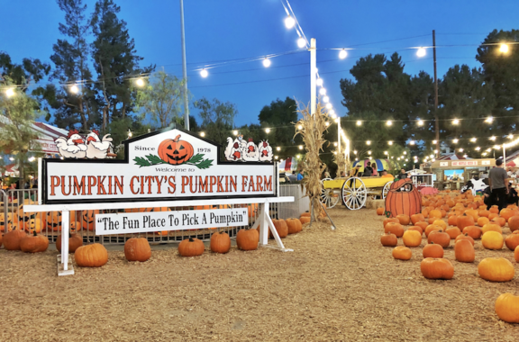 7 Ways to Celebrate Fall at Pumpkin City's Pumpkin Farm - Rockin Mama™
