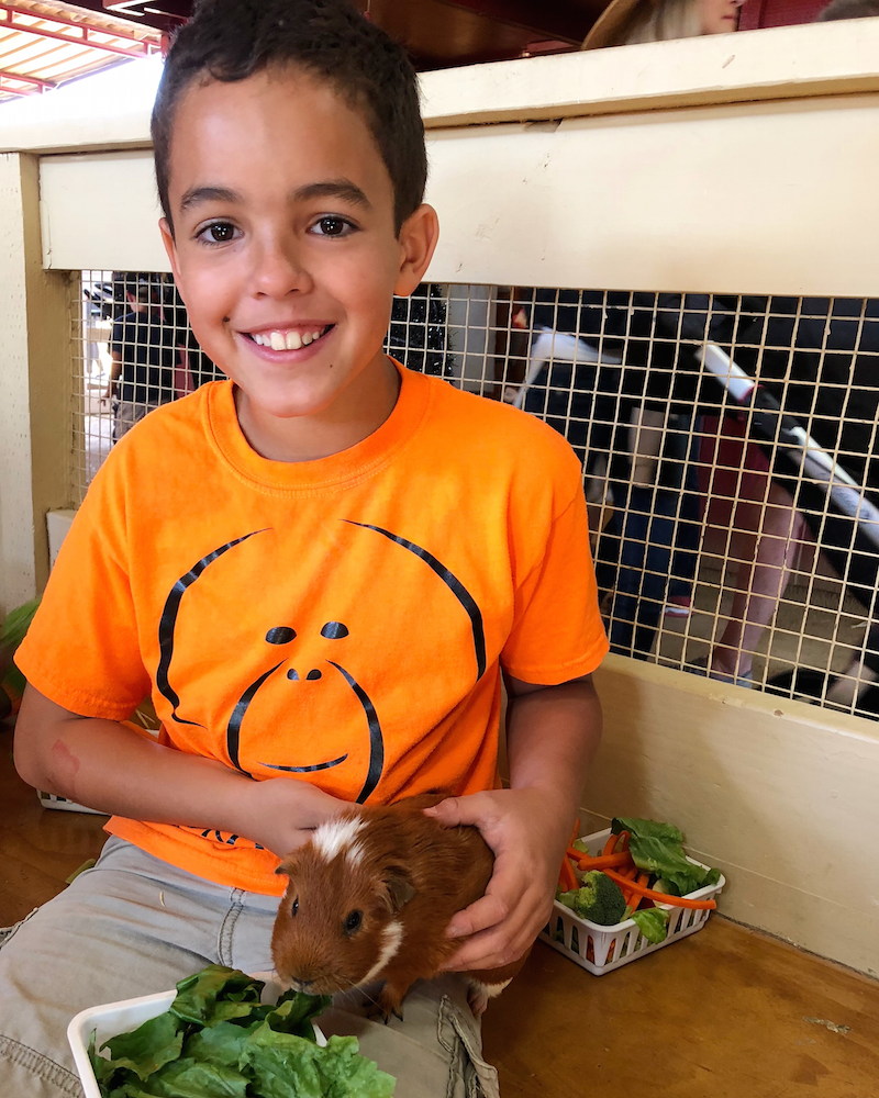 5 Things to Do at Zoomars With Kids - Rockin Mama™