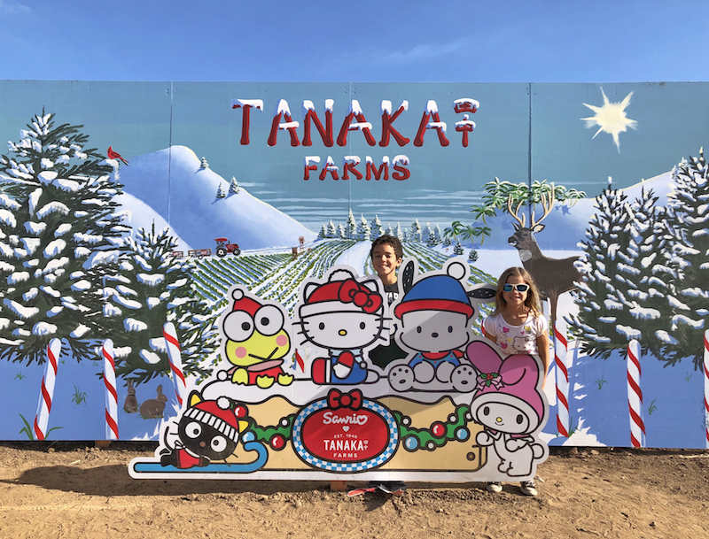 Holiday Farm Tour and Sanrio Village at Tanaka Farms - Rockin Mama™