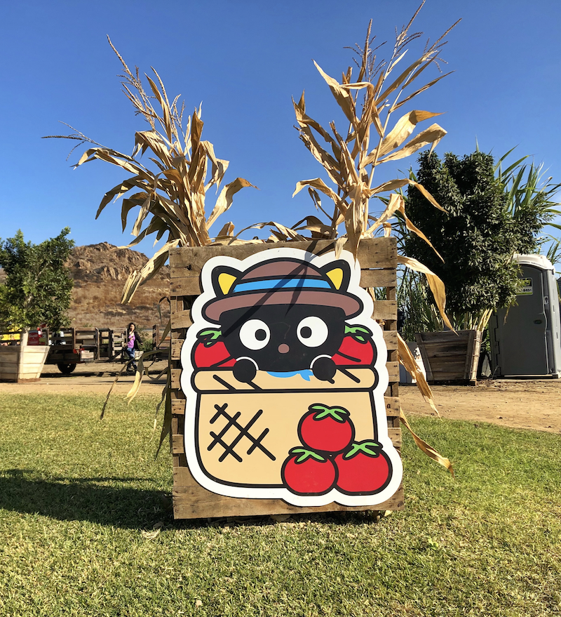 Holiday Farm Tour and Sanrio Village at Tanaka Farms - Rockin Mama™