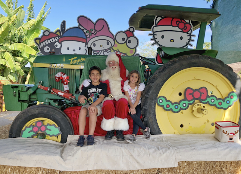 Holiday Farm Tour and Sanrio Village at Tanaka Farms - Rockin Mama™