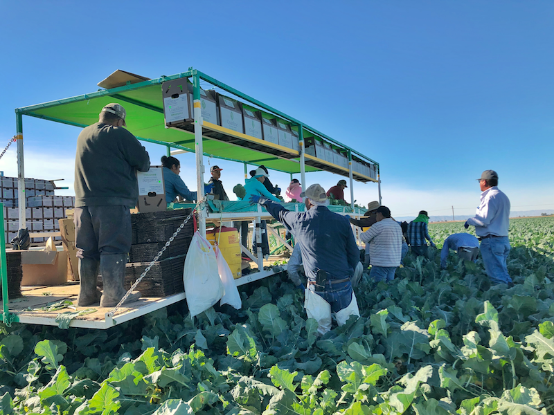 Farming in California - What it Takes To Feed a Nation - Rockin Mama™