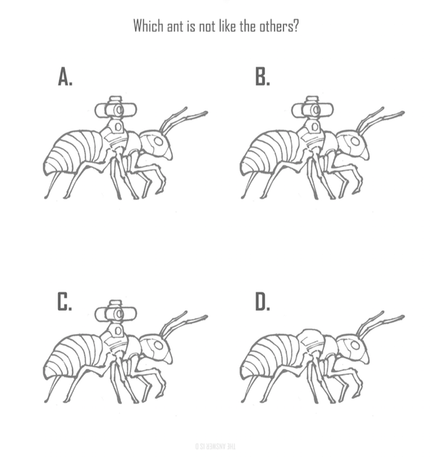 Ant Man and the Wasp Printables and Movie Night Ideas - Rockin Mama™