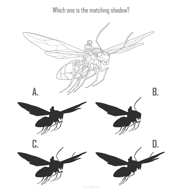 Ant Man and the Wasp Printables and Movie Night Ideas - Rockin Mama™