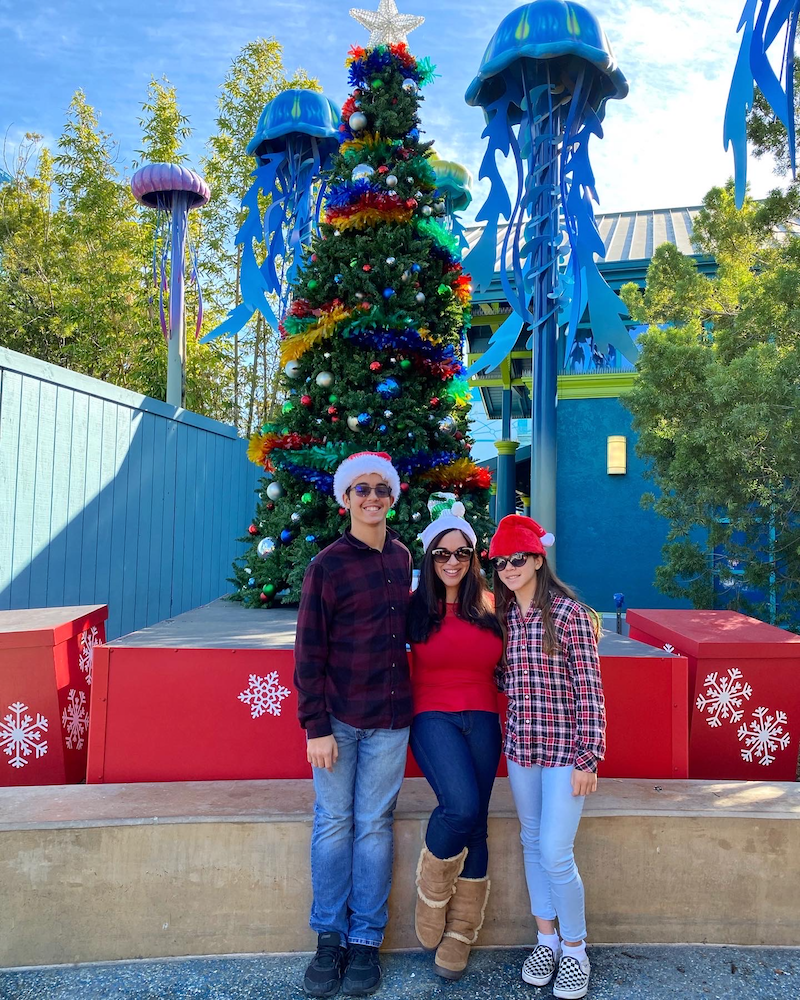 10 Things to Do During Christmas at SeaWorld - Rockin Mama™