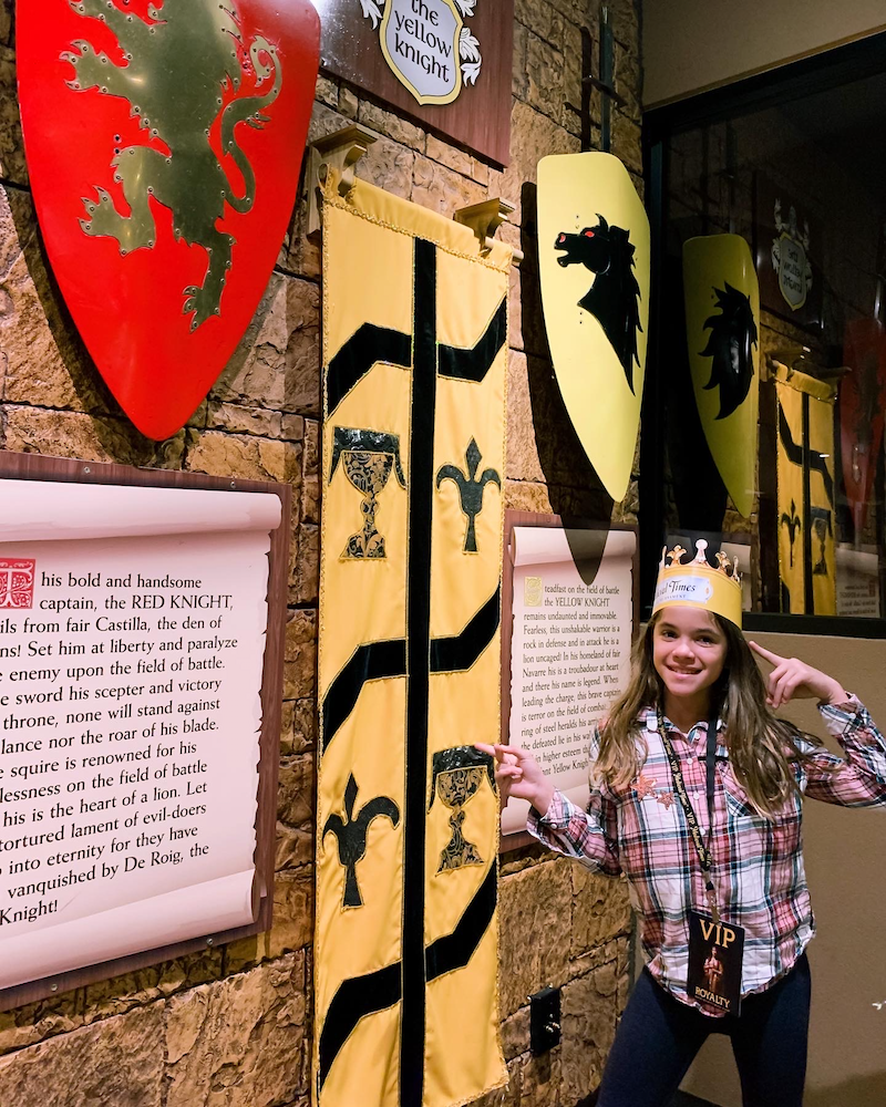 Celebrations at Medieval Times - Rockin Mama™