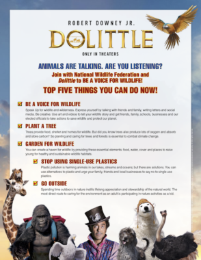 Dolittle Printables and Coloring Sheets - Rockin Mama™