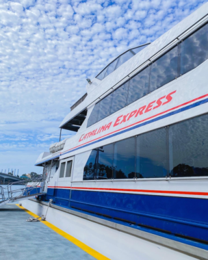 Complete Guide to Visiting Catalina Island - Rockin Mama™