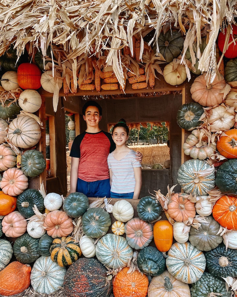Halloween Events in Southern California 2021 - Rockin Mama™