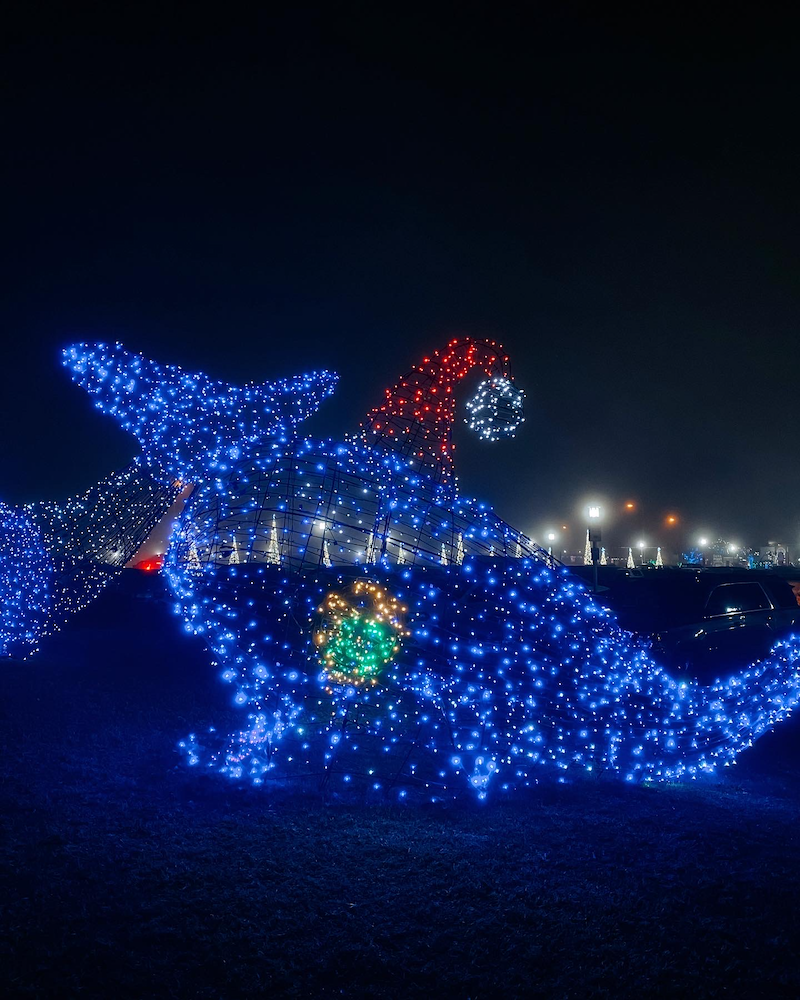 How to Celebrate the Holidays in Dana Point - Rockin Mama™