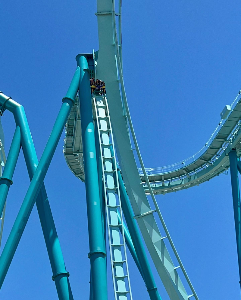 New Attractions Shows And Experiences At Seaworld San Diego Rockin