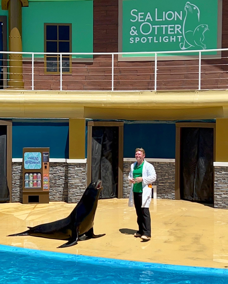 New Attractions Shows And Experiences At Seaworld San Diego Rockin